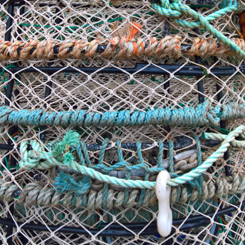 Crustacean pots II – Lois Wakeman