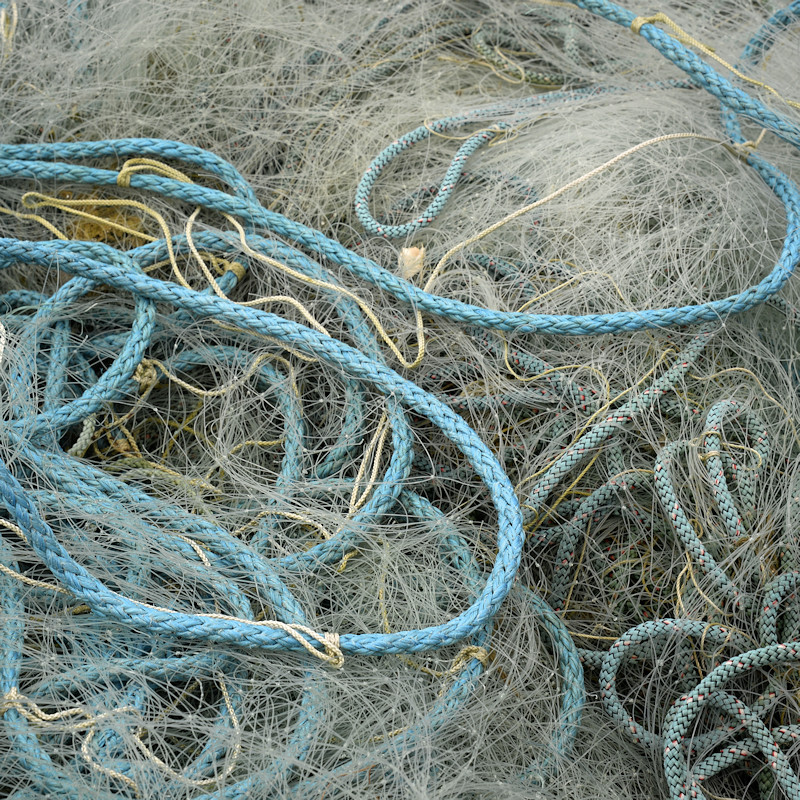 Net tangles – Lois Wakeman