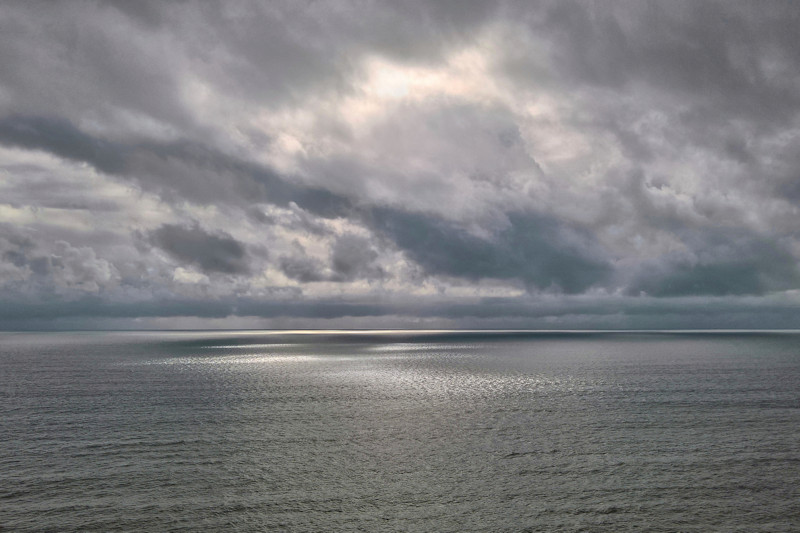 Sunlit patches – Lois Wakeman