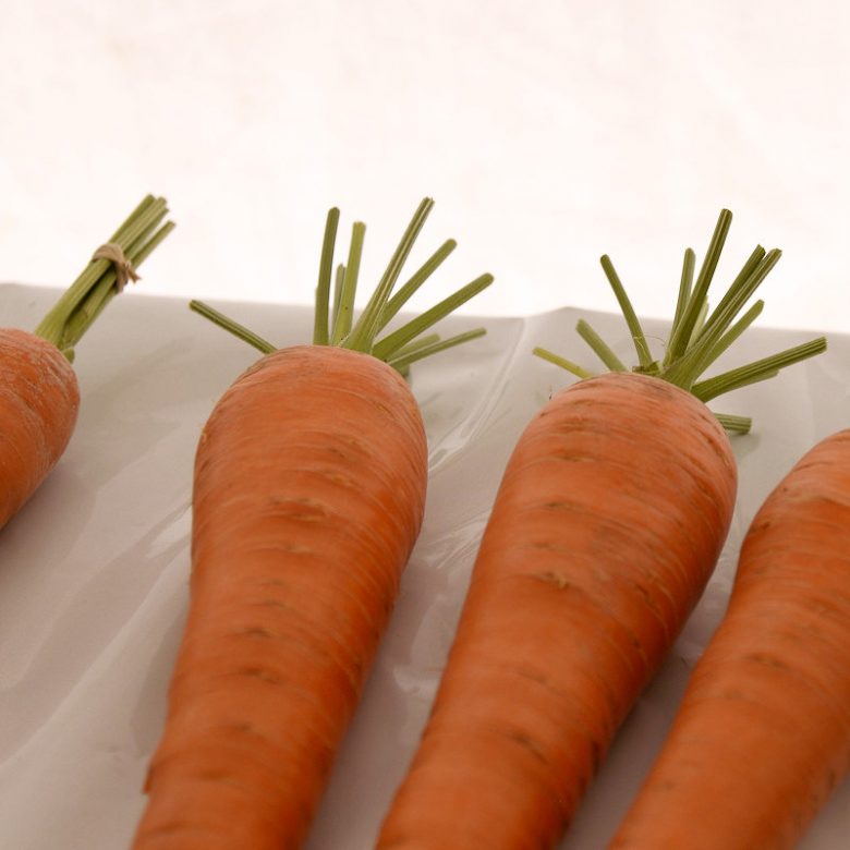 Giant carrots – Lois Wakeman