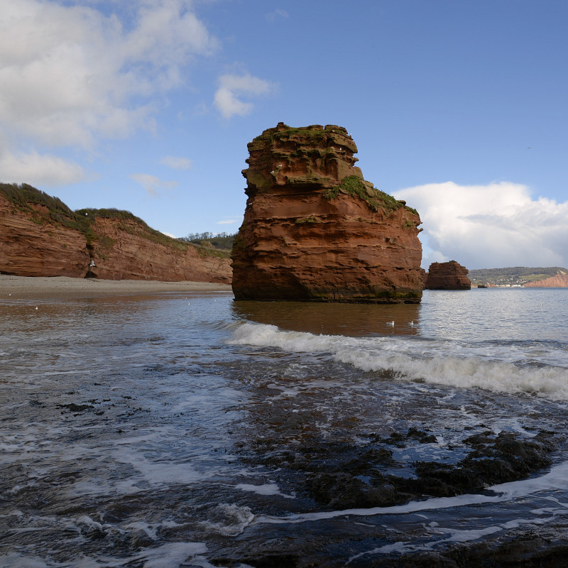 Stack at Ladram Bay – Lois Wakeman