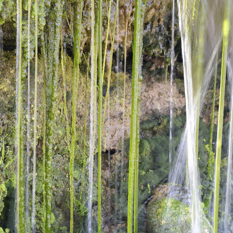 The waterfall – Lois Wakeman